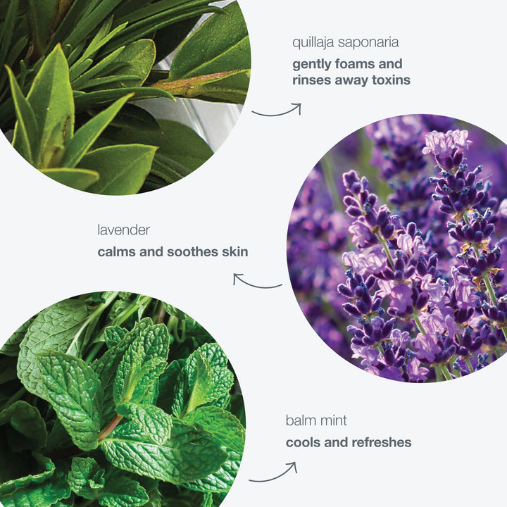 Dermalogica® Skin Care | Official Site