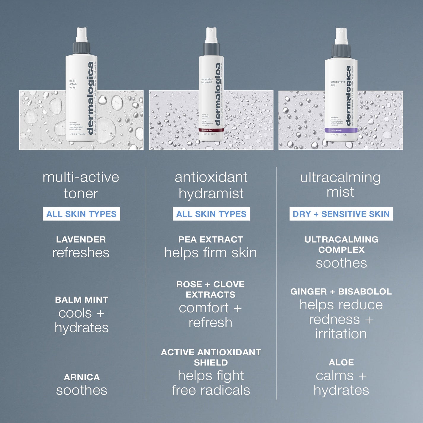 Multi-Active Toner, Hydrating Spray Toner | Dermalogica®